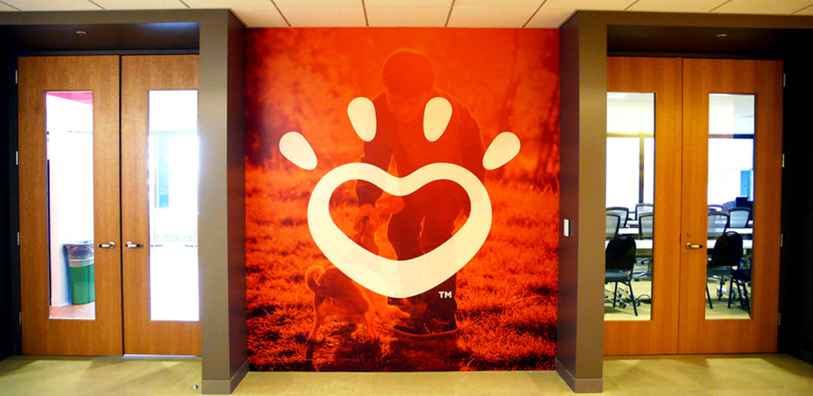 Environmental & Wall Graphics